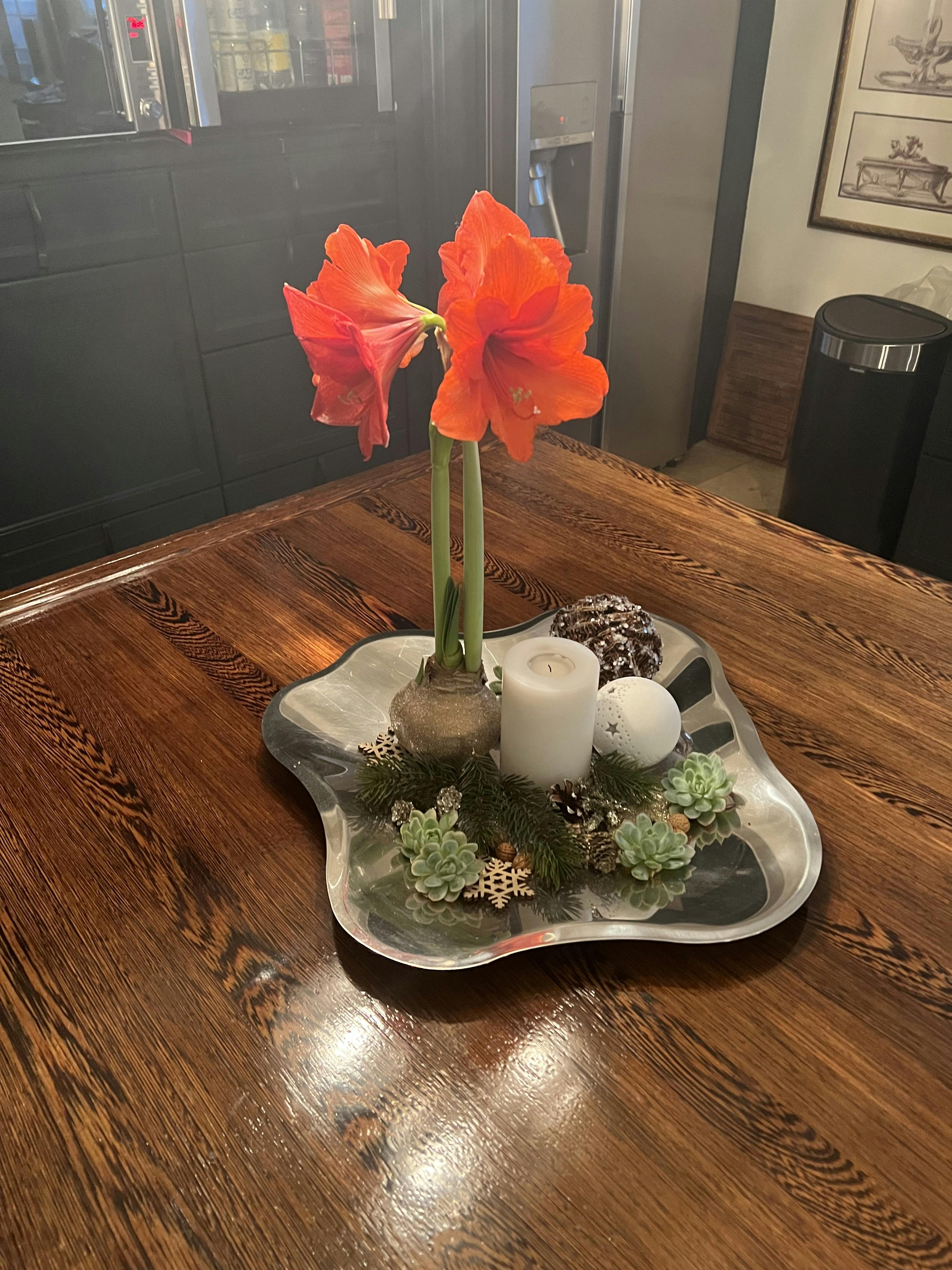 Se billederne: Janni og Karsten Ree har gjort klar til jul | BILLED-BLADET