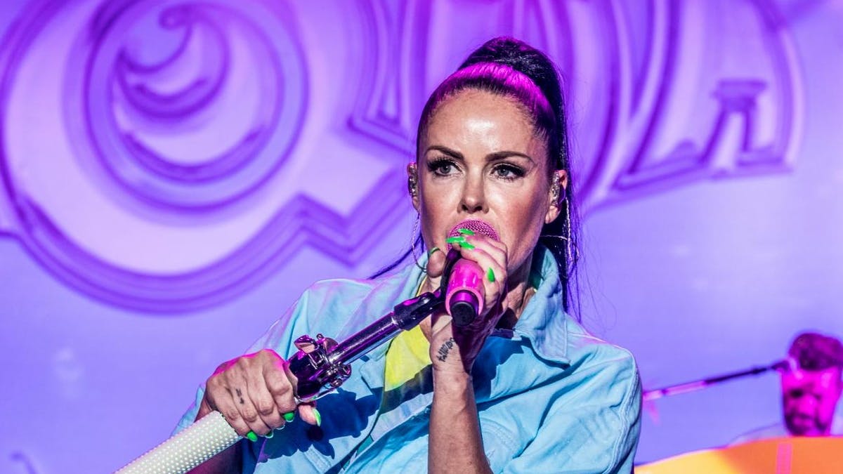 Lene Nystrøm afslører personlig årsag til, koncert måtte afbrydes ...