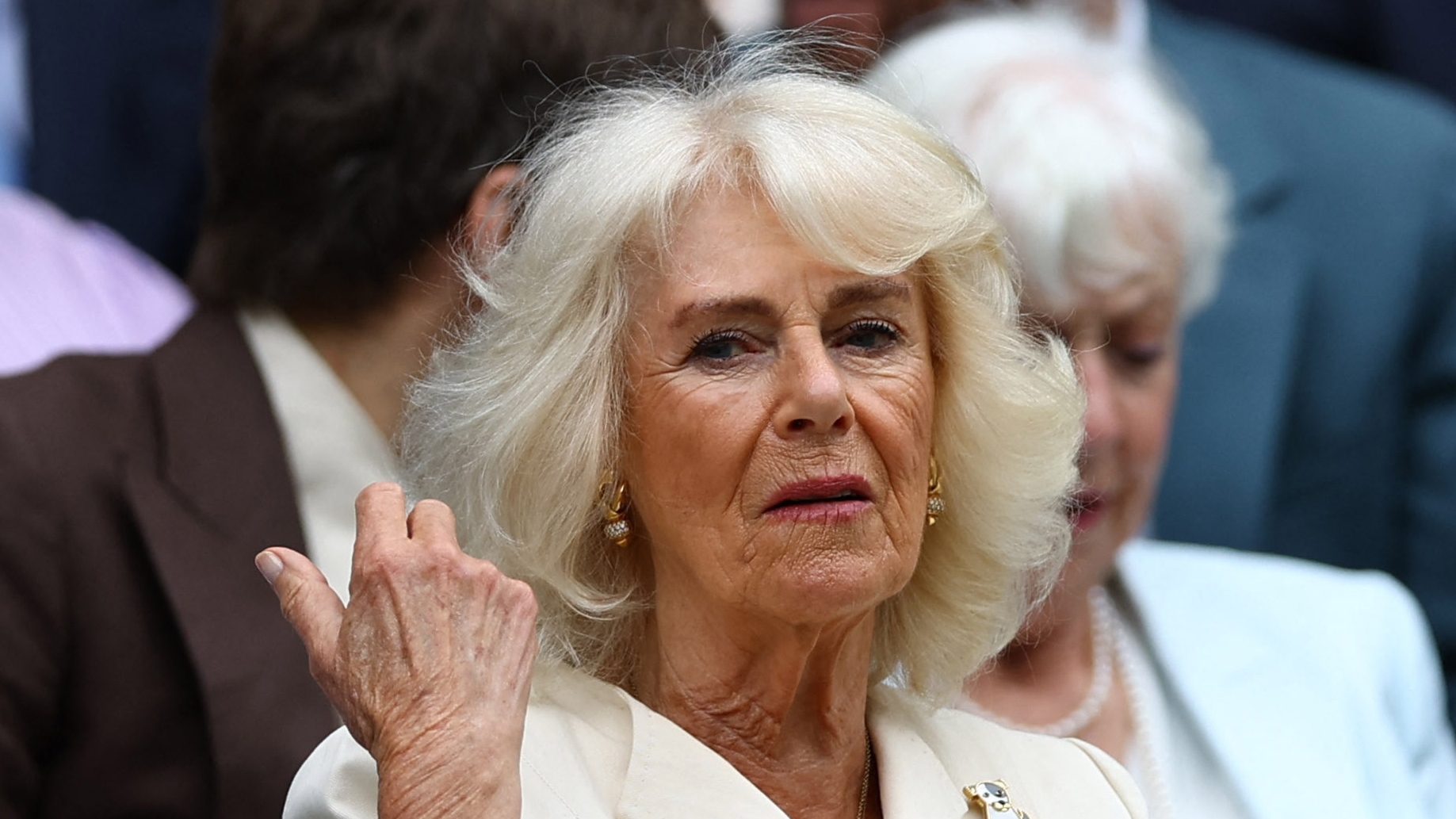 Akavet! Køer parrer sig lige foran dronning Camilla | BILLED-BLADET