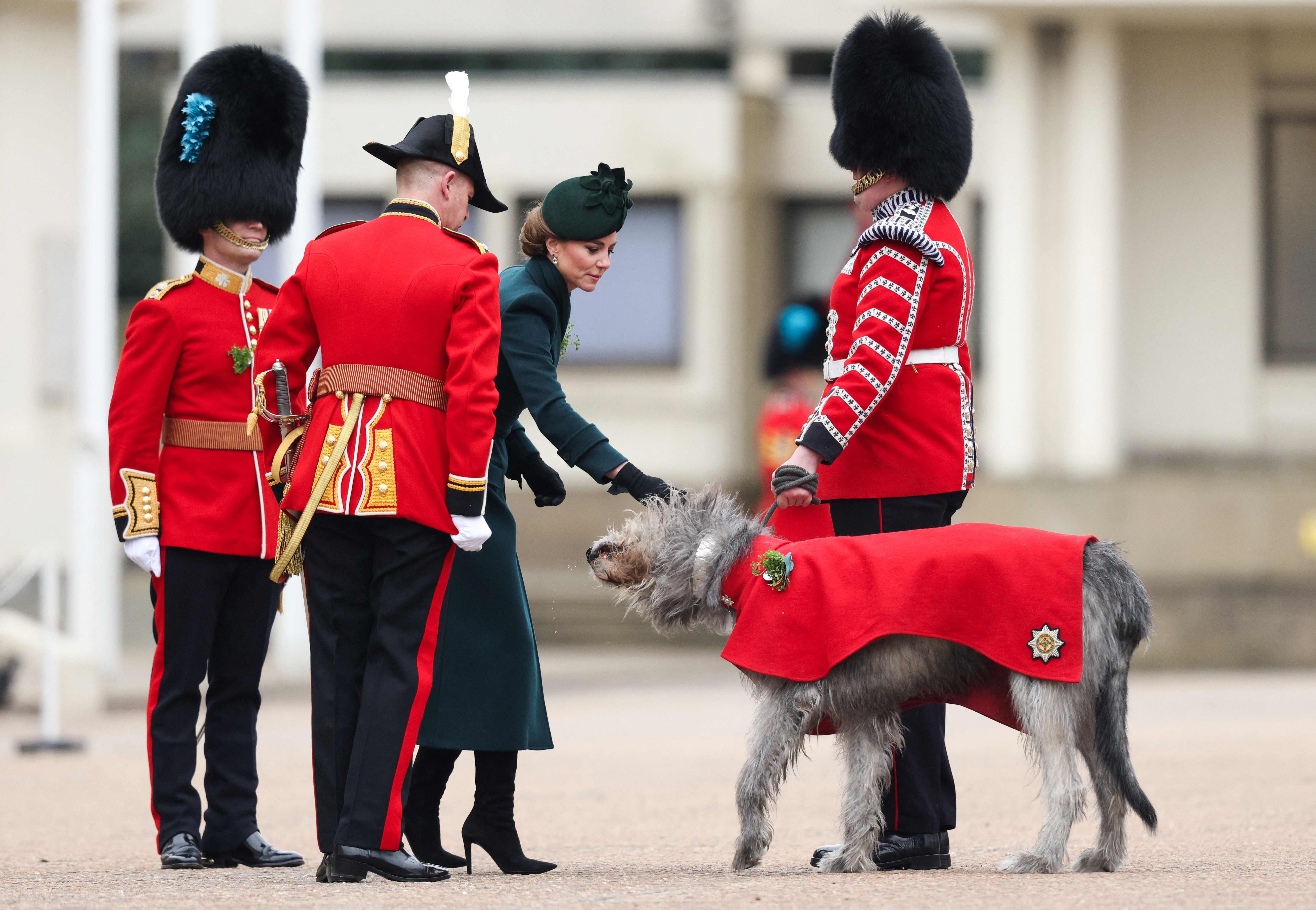 Så sødt! Da prinsesse Kate fik lov til at hilse på særlig gæst, lyste ...