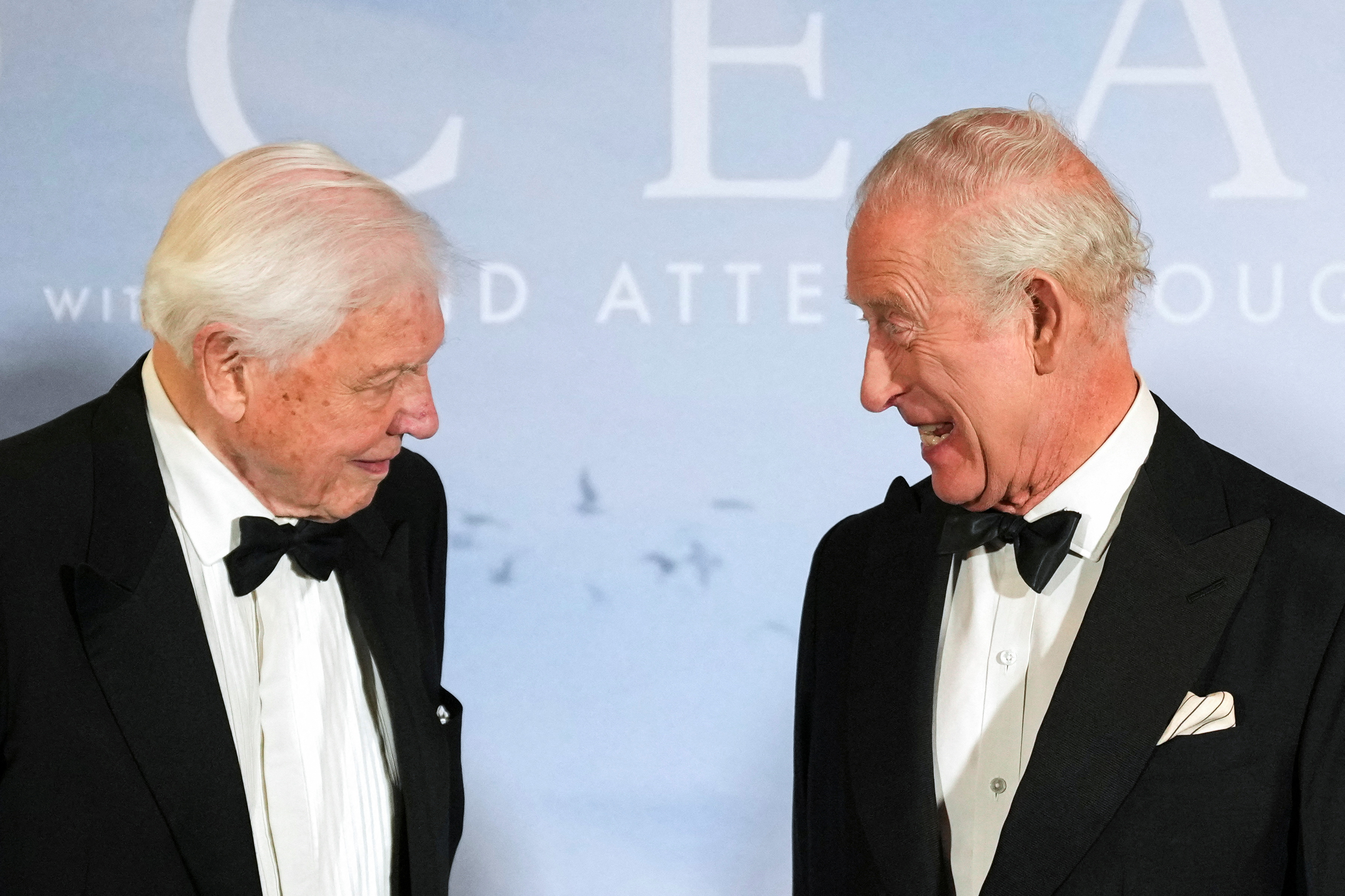 Smokingklædt kong Charles indtog den blå løber til stjernespækket ...