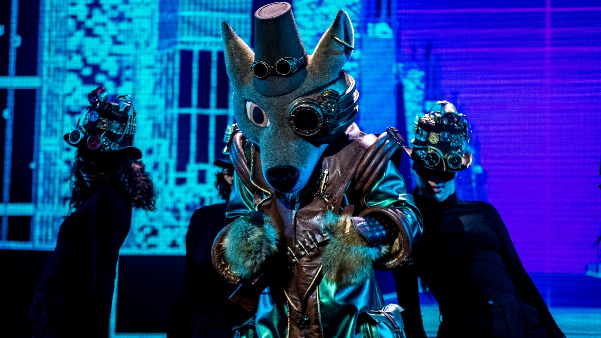 Har du gættet rigtigt? Her er ledetrådene om Ræv | BILLED-BLADET