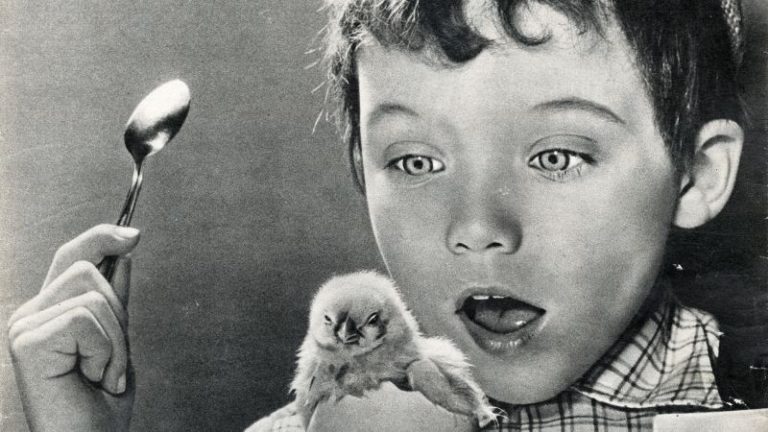 Husker du Lille Pers påskeoverraskelse? | BILLED-BLADET